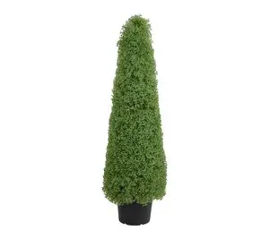 NORTHLIGHT 4' Boxwood Cone Topiary Tree In Roun Pot - One-color