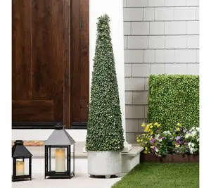 NORTHLIGHT Two-toned Artificial Boxwood Topiary Cone Tree