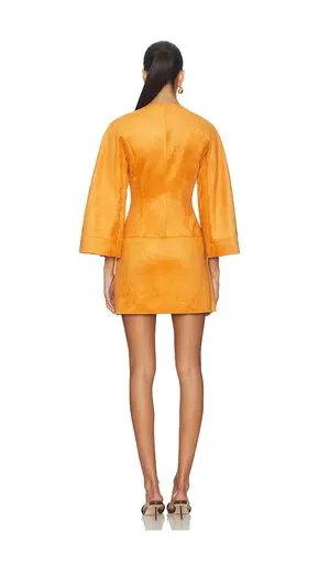 Alexis Anesa Dress