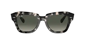 Ray-ban State Street Fleck Sunglasses
