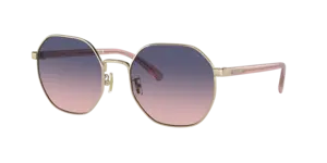 COACH Octagon Sunglasses - Blue Pink Gradient