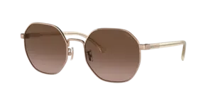 COACH Octagon Sunglasses - Brown Peach Flash