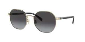 COACH Octagon Full Rim Sunglasses - Grey Gradient