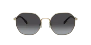 COACH Octagon Full Rim Sunglasses - Grey Gradient