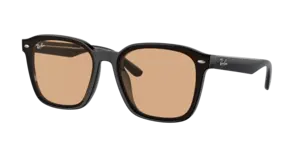 Ray-ban Sunglasses Brown