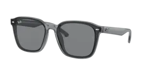 Ray-ban Sunglasses Grey