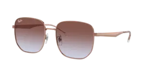 Ray-ban Ray-Ban Sunglasses Violet