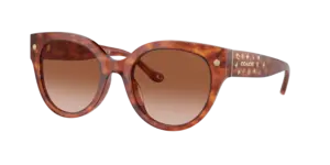COACH Sunglasses With Tortoiseshell Frame - Brown Gradient