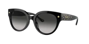 COACH Sunglasses With Tortoiseshell Frame - Grey Gradient
