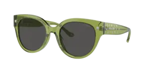 COACH Sunglasses With Tortoiseshell Frame - Grey Solid