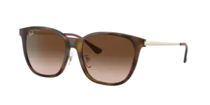 Ray-ban Sunglasses Brown Gradient
