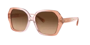COACH Sunglasses Brown Gradient