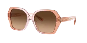 COACH Coach Sunglasses Brown Gradient