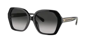COACH Sunglasses