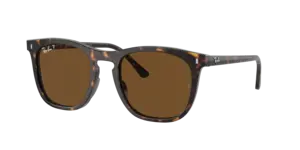 Ray-ban Full Rim Sunglasses - Brown