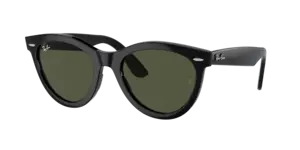 Ray-ban Wayfarer Sunglasses - Green