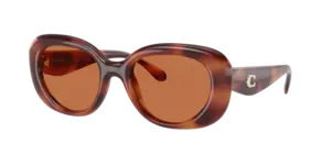 COACH Full Rim Sunglasses - Brown Solid