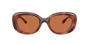 COACH Full Rim Sunglasses - Brown Solid