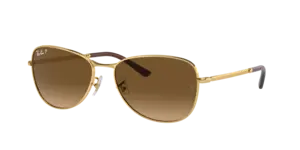 Ray-ban Sunglasses Brown