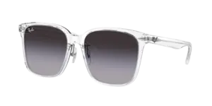 Ray-ban Clear Frames Sunglasses