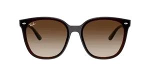 Ray-ban Sunglasses - Brown