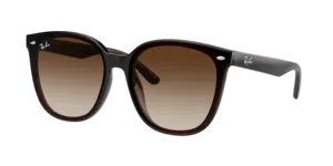 Ray-ban Sunglasses Brown
