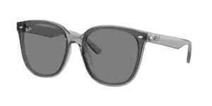 Ray-ban Sunglasses Dark Brown