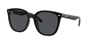 Ray-ban RAY-BAN Sunglasses Dark Grey