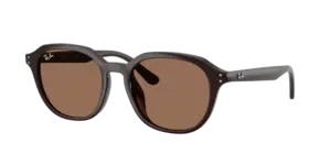 Ray-ban Ray-Ban Sunglasses Dark Brown