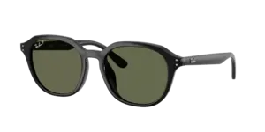 Ray-ban Ray-Ban Sunglasses Dark Green Polarized