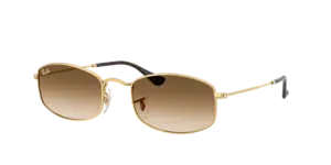 Ray-ban Sunglasses Clear Gradient Brown