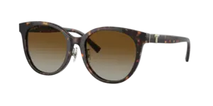 Tiffany & Co. Sunglasses - Polar Brown Gradient