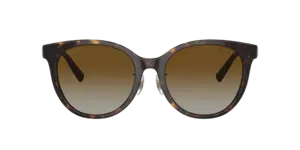 Tiffany & Co. Sunglasses - Polar Brown Gradient