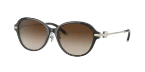 Tiffany & Co. Sunglasses - Brown Gradient