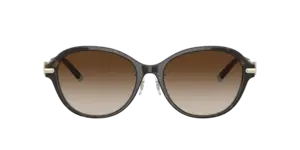 Tiffany & Co. Sunglasses - Brown Gradient