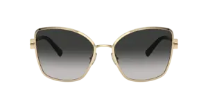 Tiffany & Co. Sunglasses - Grey Gradient
