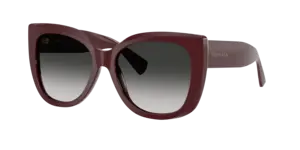 Tiffany & Co. Sunglasses Grey Gradient