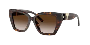 Tiffany & Co. Sunglasses - Brown Gradient