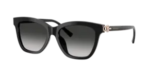 Tiffany & Co. Sunglasses Grey Gradient