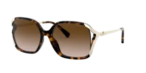 COACH Sunglasses Brown Gradient