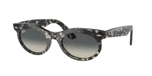 Ray-ban Wayfarer Oval Sunglasses - Grey