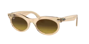 Ray-ban Wayfarer Oval Sunglasses - Brown