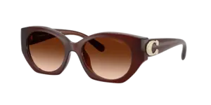 COACH Sunglasses Brown Gradient