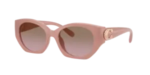 COACH Sunglasses Brown Rose Gradient