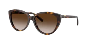 Tiffany & Co. Sunglasses - Brown Gradient