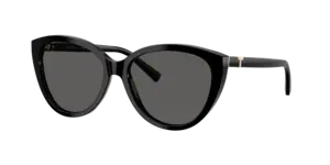 Tiffany & Co. Sunglasses Dark Grey