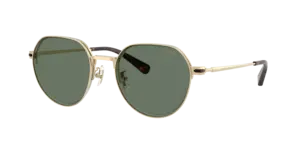 COACH Sunglasses Green Solid