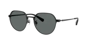COACH Sunglasses Grey Solid Polarized
