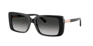 Tiffany & Co. Sunglasses - Grey Gradient
