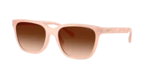 COACH Sunglasses Brown Gradient